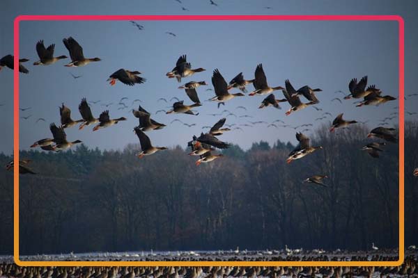 26th IACDE NATIONAL PG CONVENTION